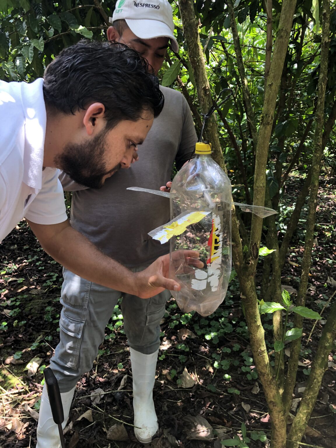 Designing the Most Regenerative Coffee Production System in the World