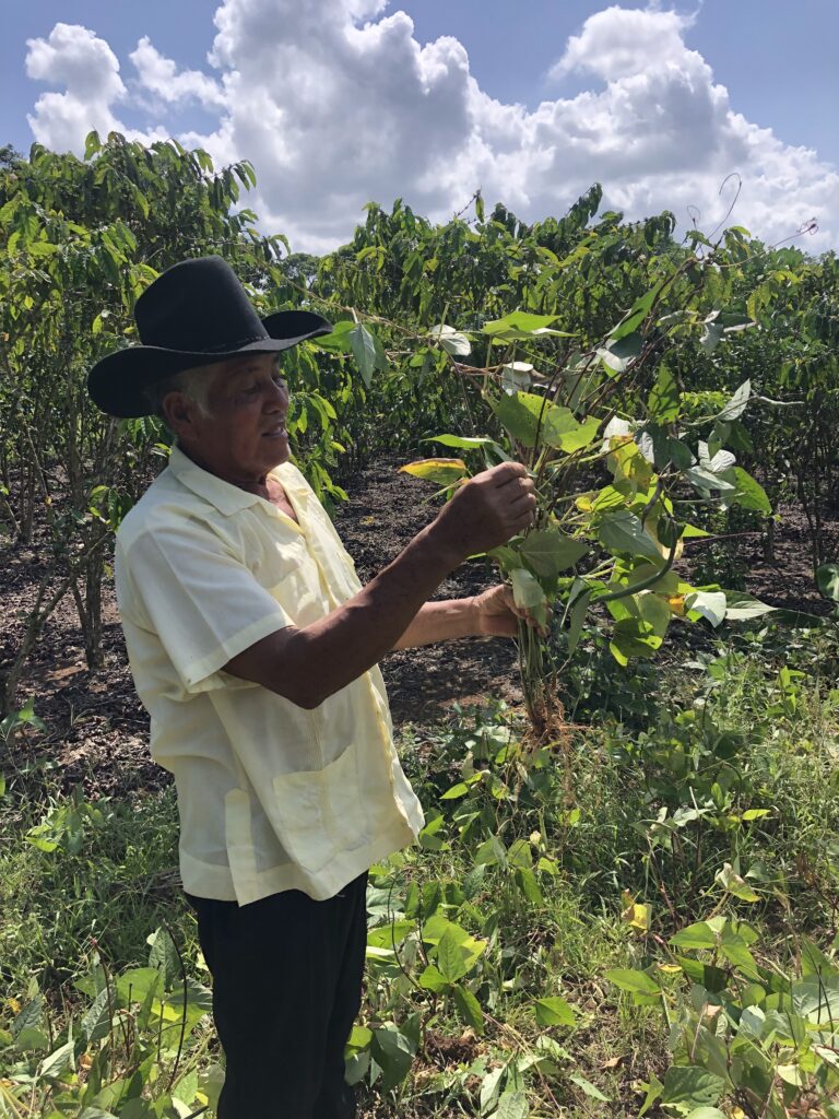 Designing the Most Regenerative Coffee Production System in the World