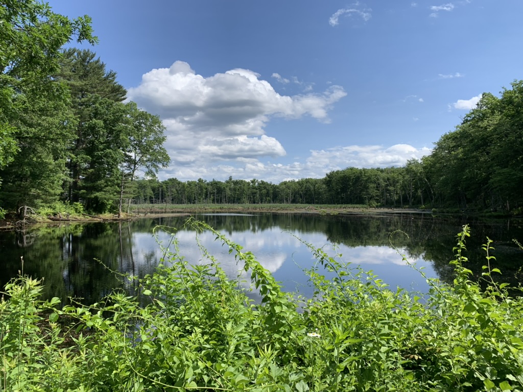 Notes from the Field: Fine-tuning the details at Lake Wallace Sensory ...